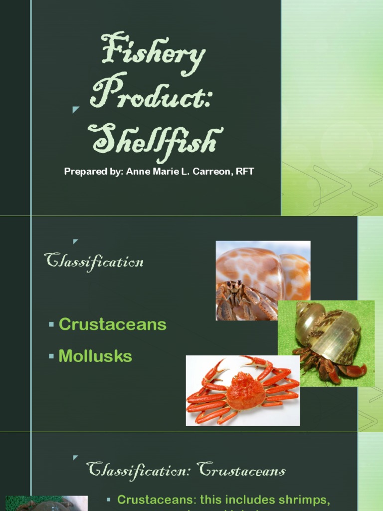 Types and Classifications of Shellfish | PDF