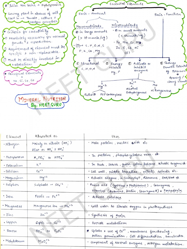 Chap 12 Mineral Nutrition Mind Map Class 11 Neet | PDF