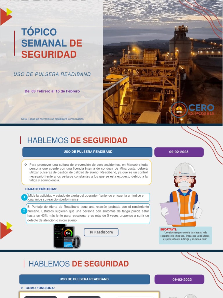 Topico Semanal SSO | PDF
