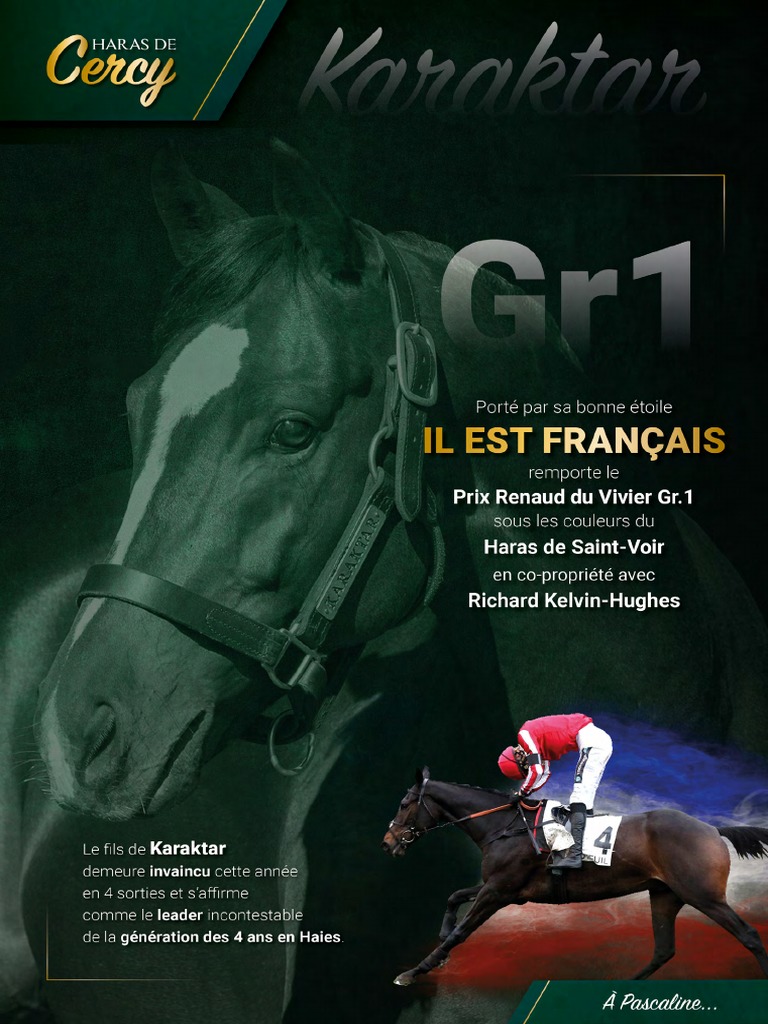 JDG 20221128 Derftg | PDF