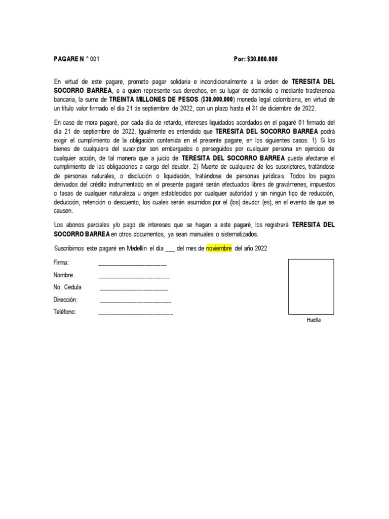 Formato Pagare | PDF