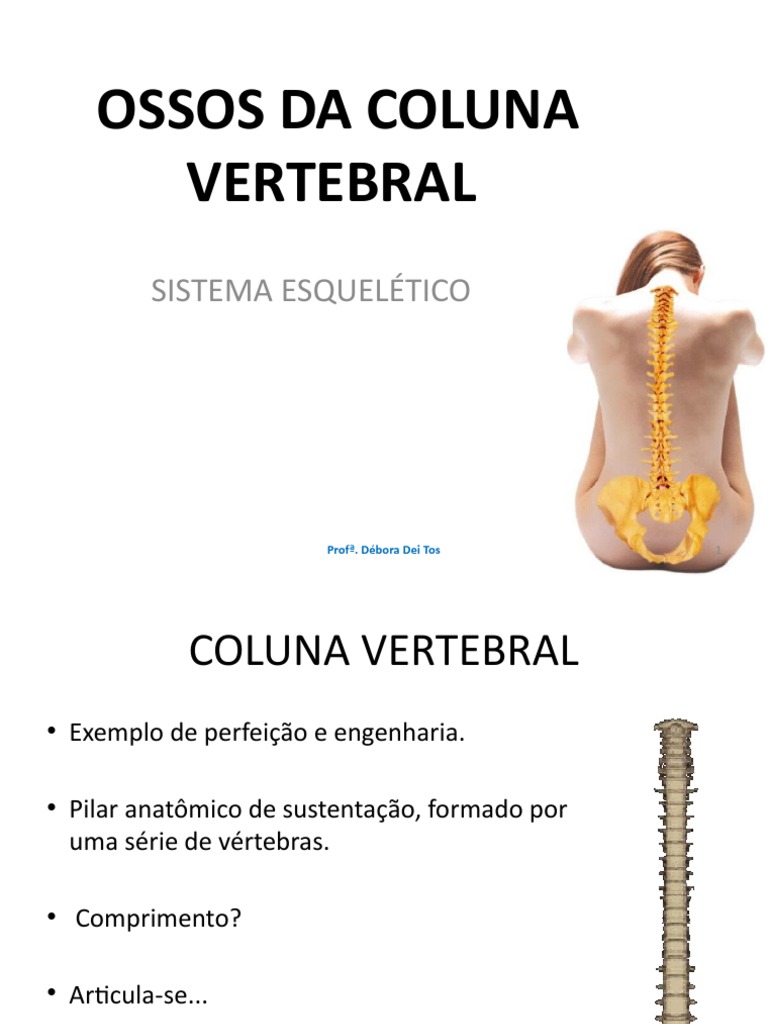 Aula 5 - Ossos Da Coluna Vertebral | PDF | Coluna vertebral | Vértebra