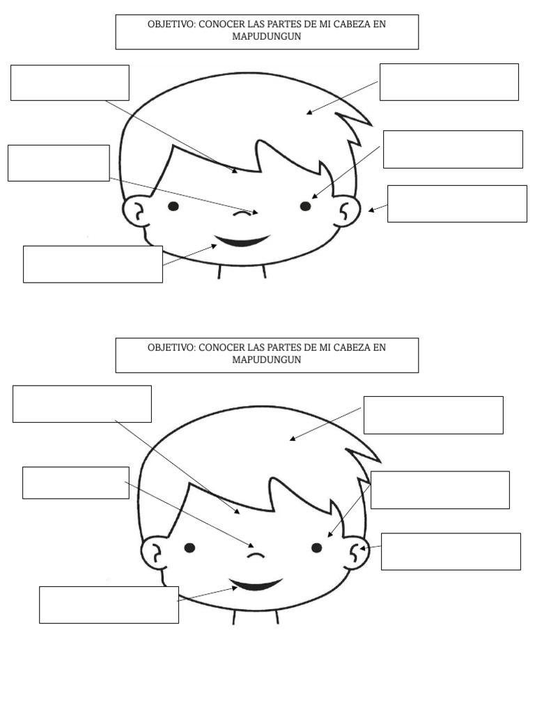 Lengua Indigena (ESCRIBE LAS PARTES DEL ROSTRO EN MAPUDUNGUN) | PDF ...