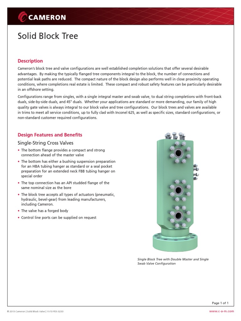 Cameron Solid Block Tree Overview | PDF | Valve | Pipe (Fluid Conveyance)