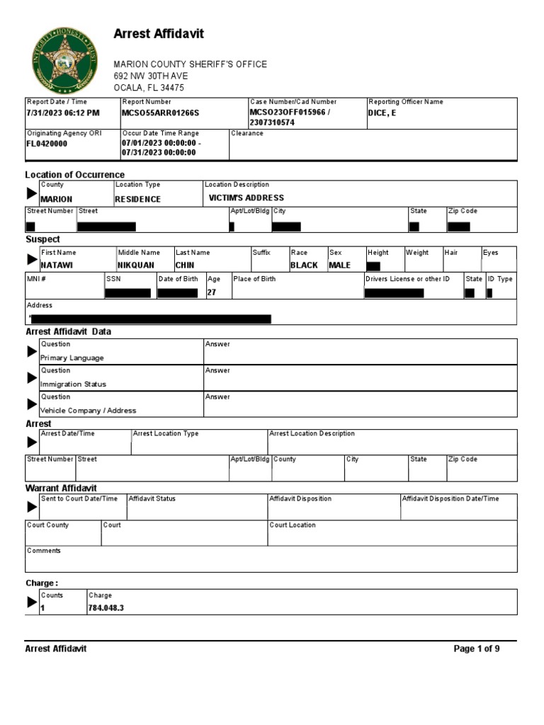 Natawi Chin Arrest Affidavit | PDF | Law