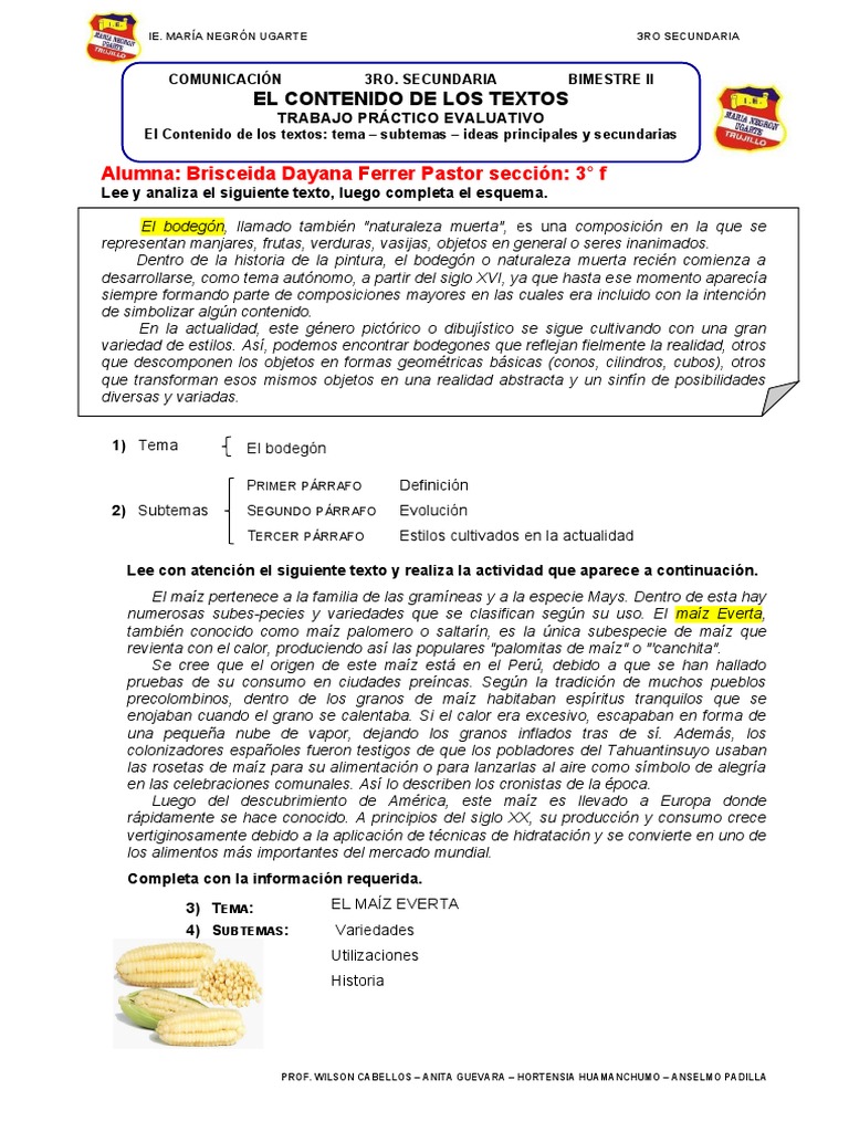 Ferrer Pastor Brisceida Dayana - Práctica El Contenido de Los Textos 3ro | PDF