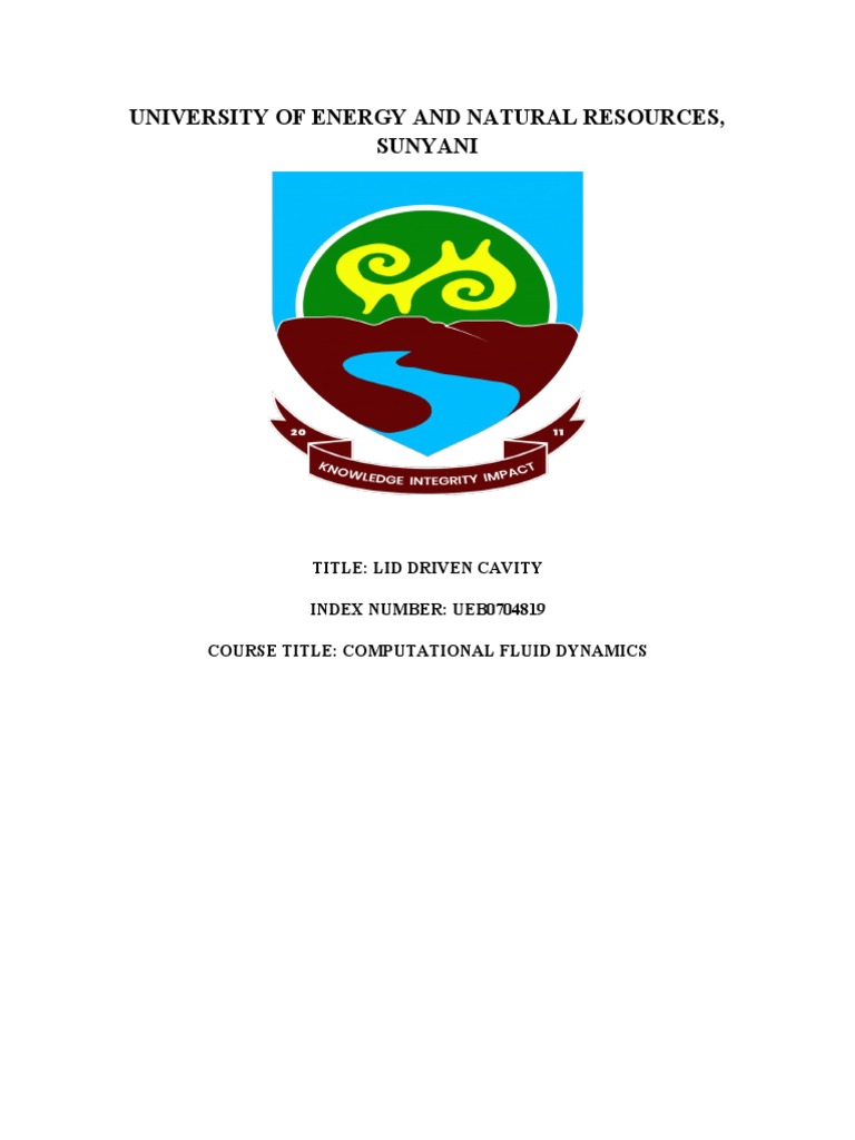 CFD Project Work | PDF