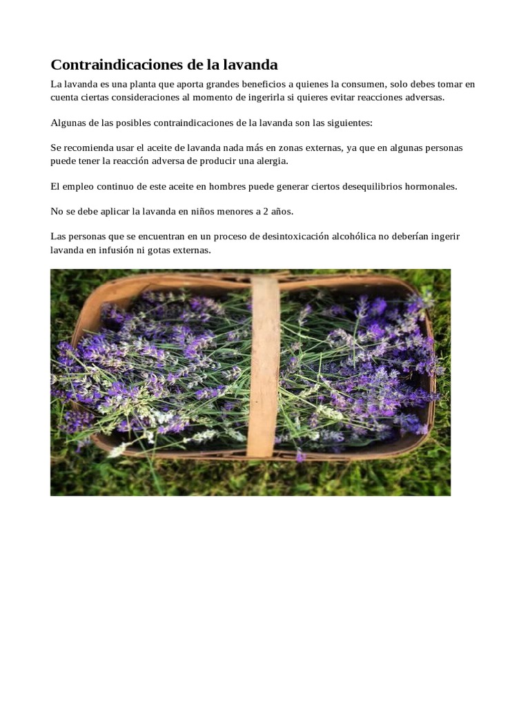 Contraindicaciones de La Lavanda | PDF