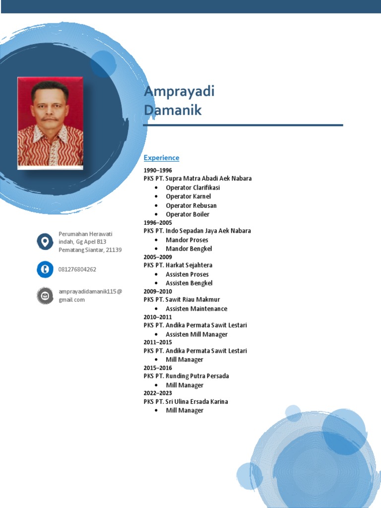 CV Amprayadi Damanik | PDF | Teknologi & Rekayasa