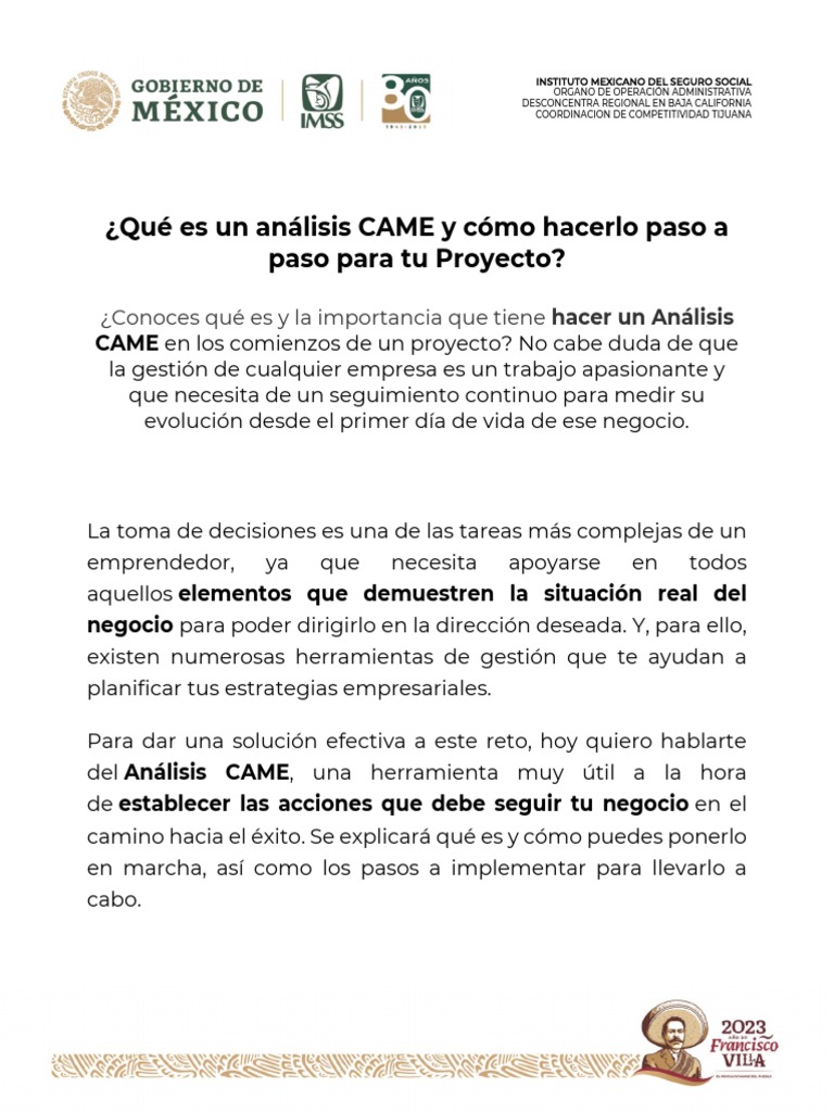 Analisis Came | PDF | Análisis FODA | Business