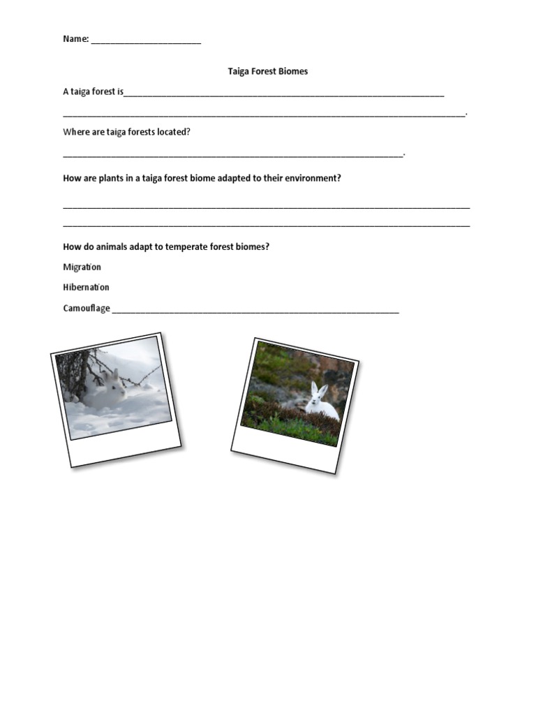 Biomes Notes Taiga & Tundra | PDF | Technology & Engineering