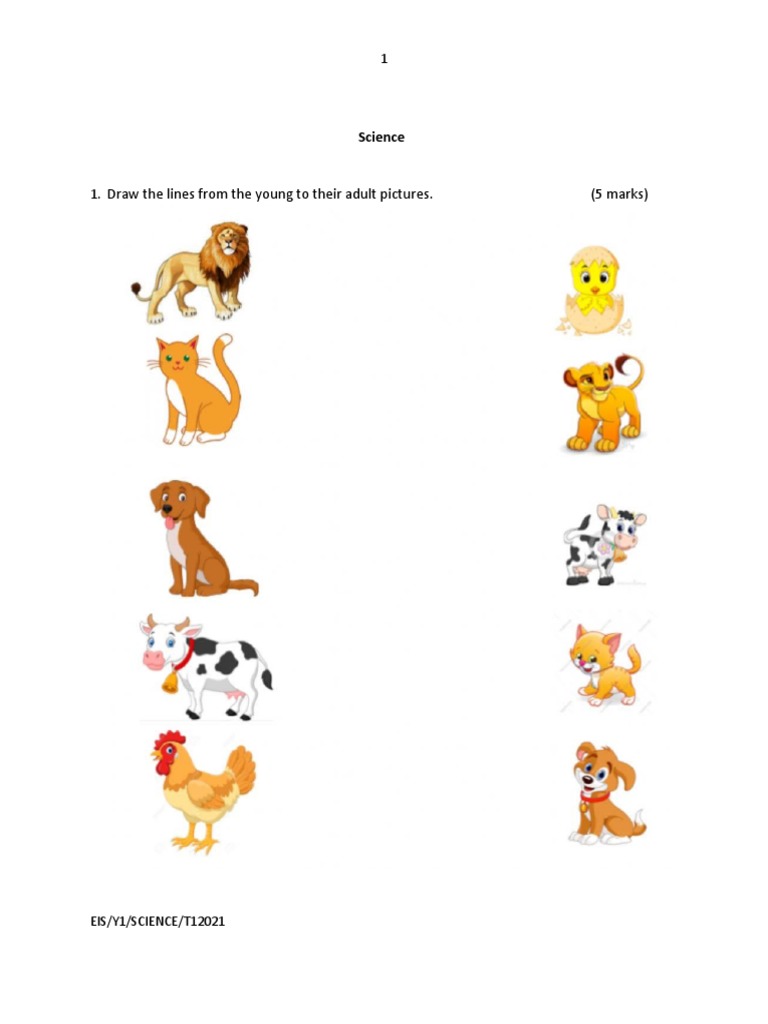 Y 1 T 1 Mock Science - 2021 | PDF