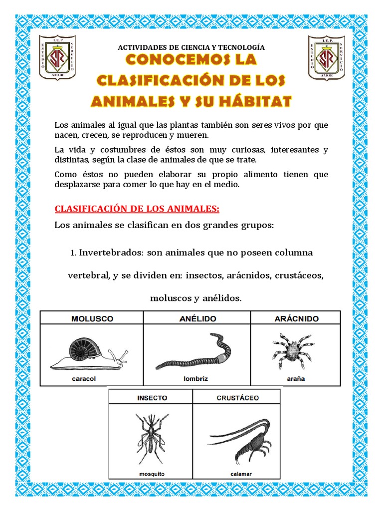 Clasificación de Animales para Primaria | PDF