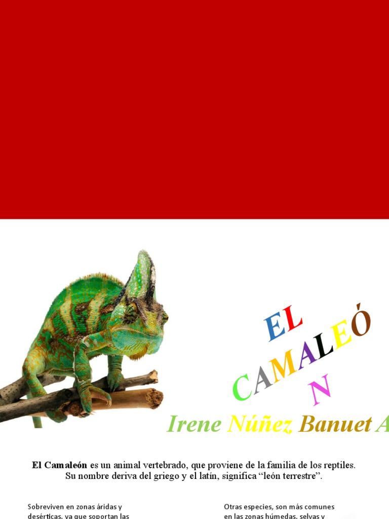 Características Únicas del Camaleón | PDF