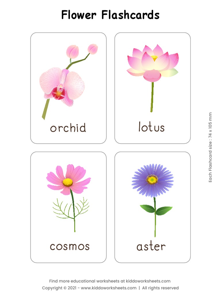 Flower Flashcards for Kids | PDF | Home & Garden | Wellness