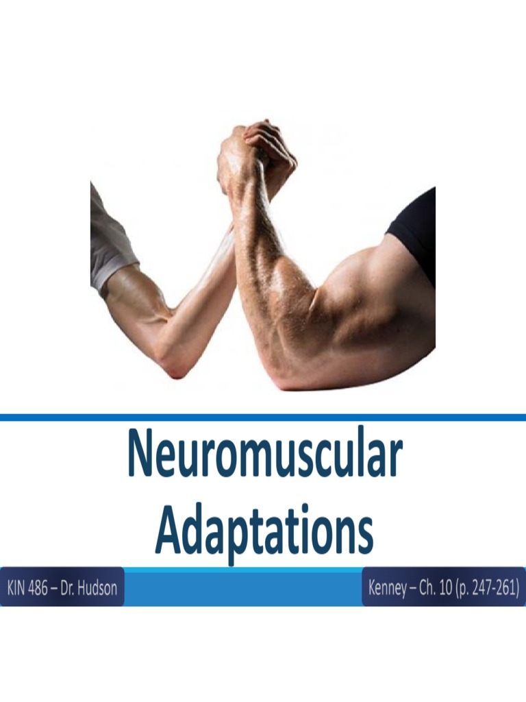 Neuromuscular Adaptations in Resistance Training | PDF