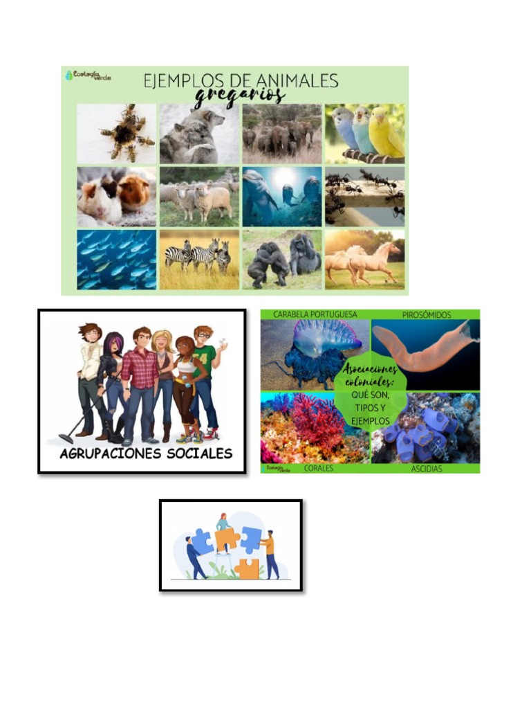 Tarea N1 F 08,08,2023 Imprimir | PDF