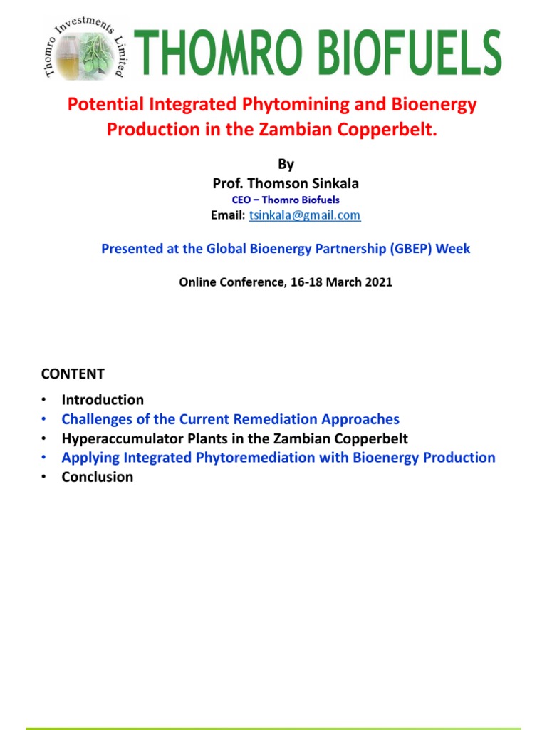 Integrating Phytomining With Bioenergy - Sinkala | PDF | Natural ...