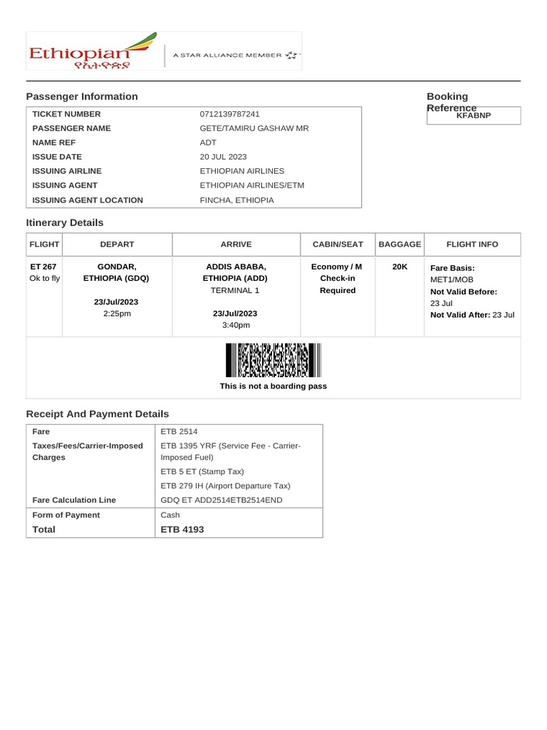 Electronic Ticket Receipt, July 23 For MR TAMIRU GASHAW GETE | PDF | Transport | Aviation