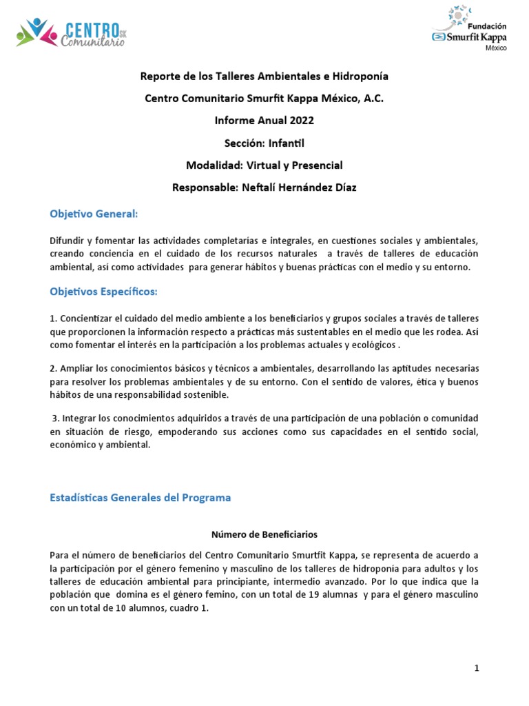 Informe Anual de Actividades | PDF