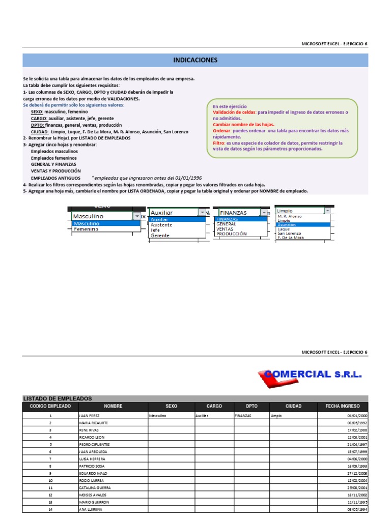 Ejercicio Validacion de Datos, Ordenar y Filtro | PDF | Informática | Software