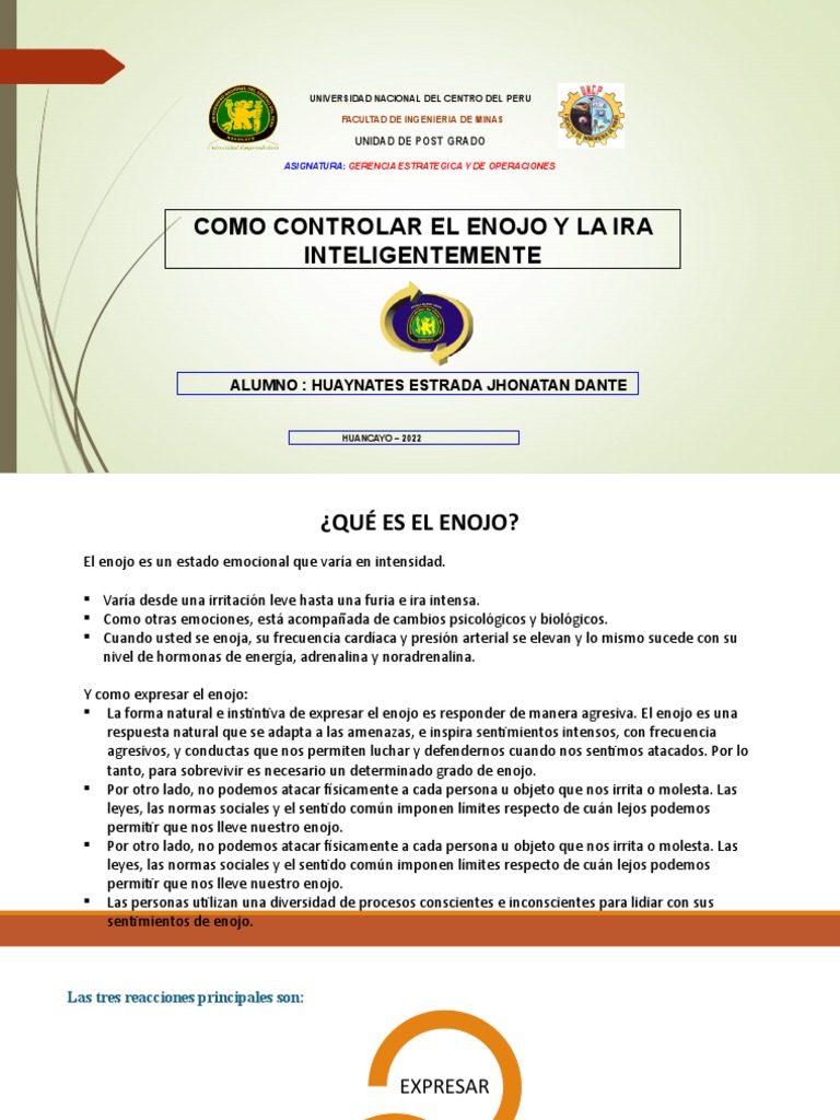 Como Manejar El Enojo Y La Ira Inteligentemente Pdf