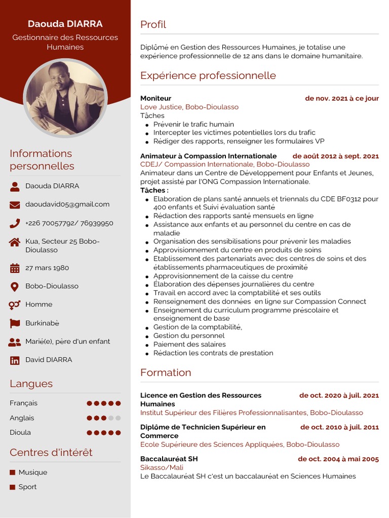 CV David | PDF
