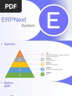 ERPNext Learning Guide | PDF | Icon (Computing) | World Wide Web