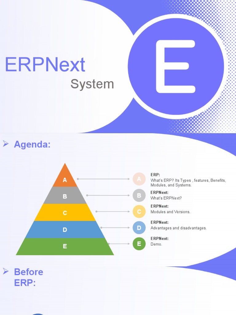 Erp Next | PDF