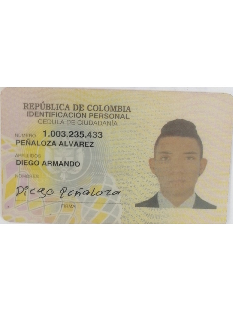 cedula pdf Diego | PDF