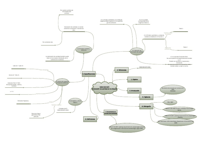 Mapa Mental NOM-030 | PDF