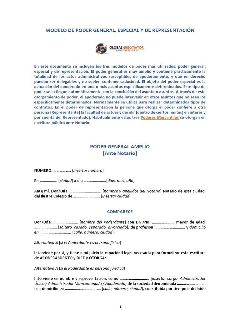 Modelo de Poder General Especial Representacion | PDF