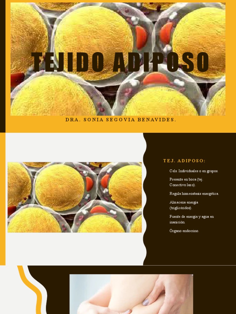 Tejido Adiposo | PDF