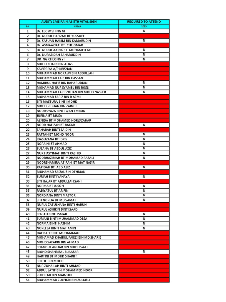 Cme p5vs 2023 Audit | PDF