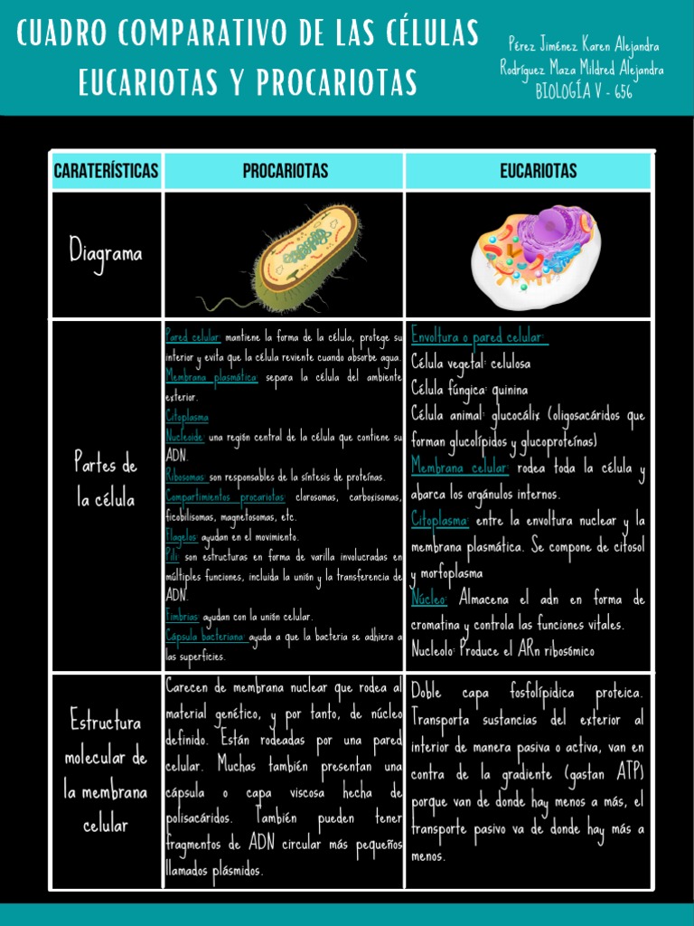 Cuadro Comparativo de Células | PDF