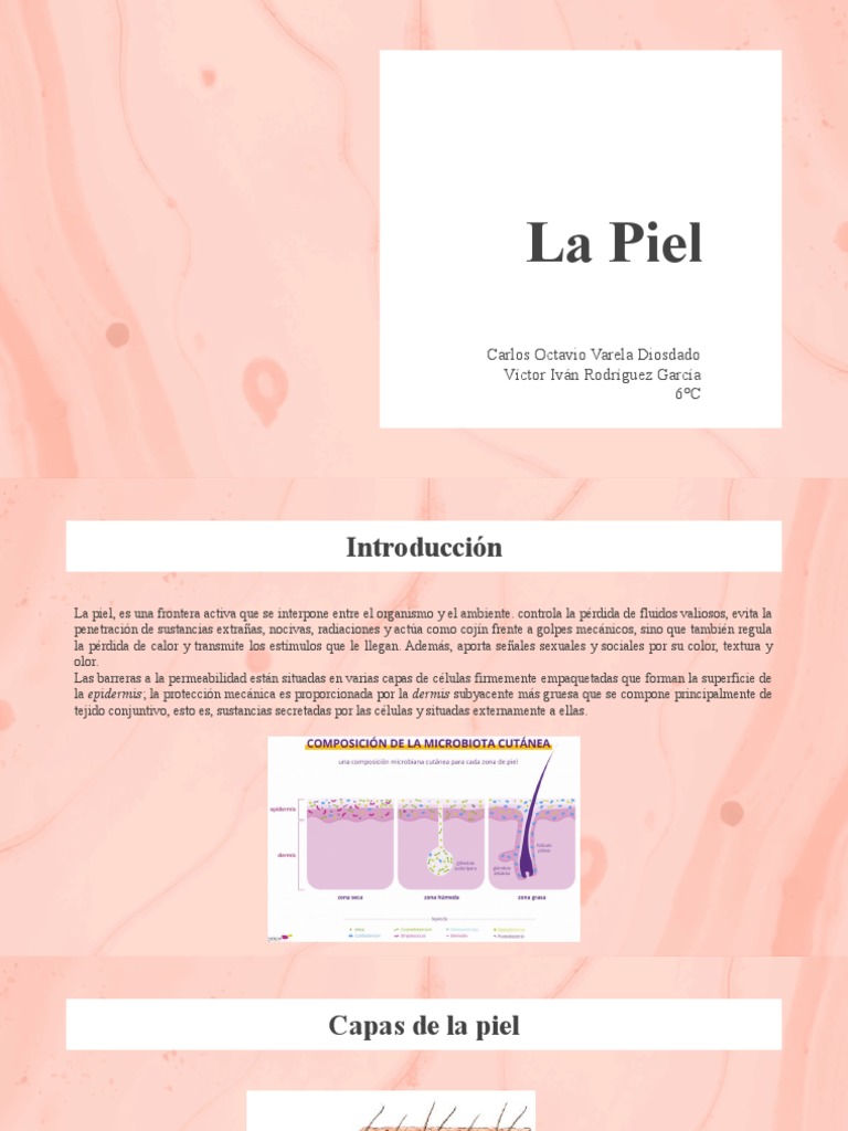 La Piel (Dermatocosmetología) | PDF | Piel | Epidermis