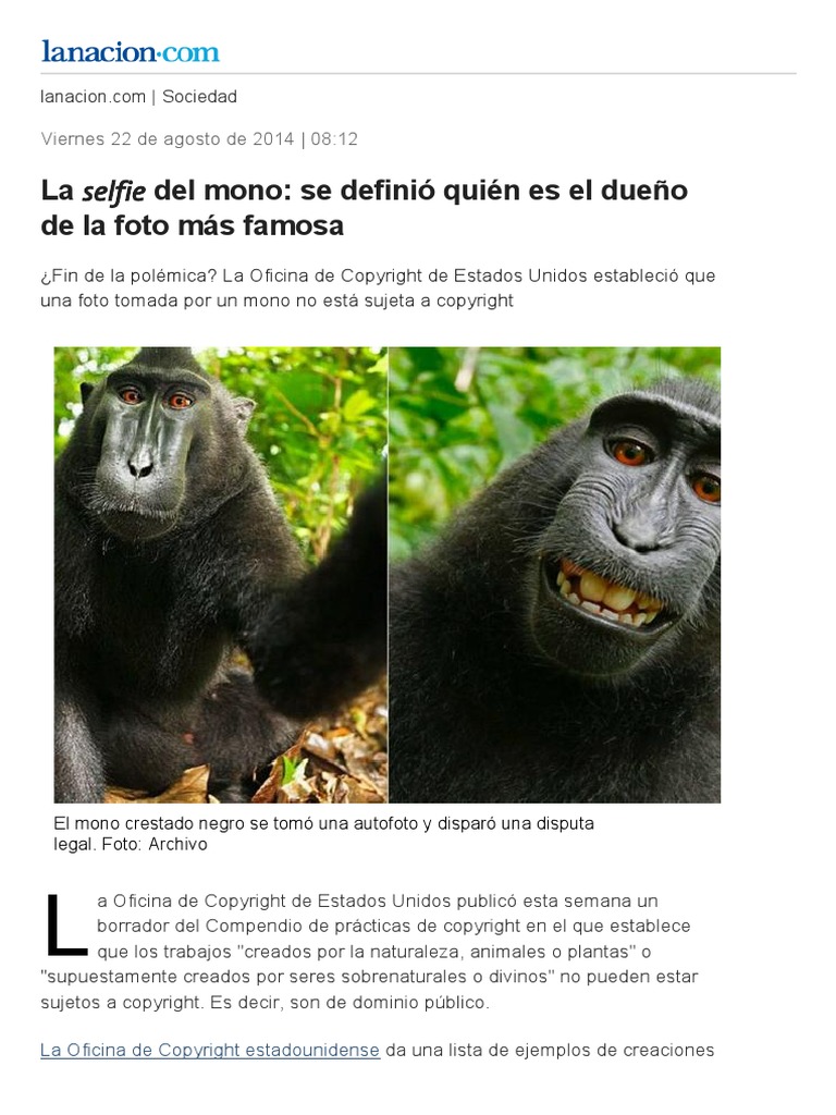 La Selfie Del Mono - Se Definió Quién Es El Dueño de La Foto Más Famosa ...
