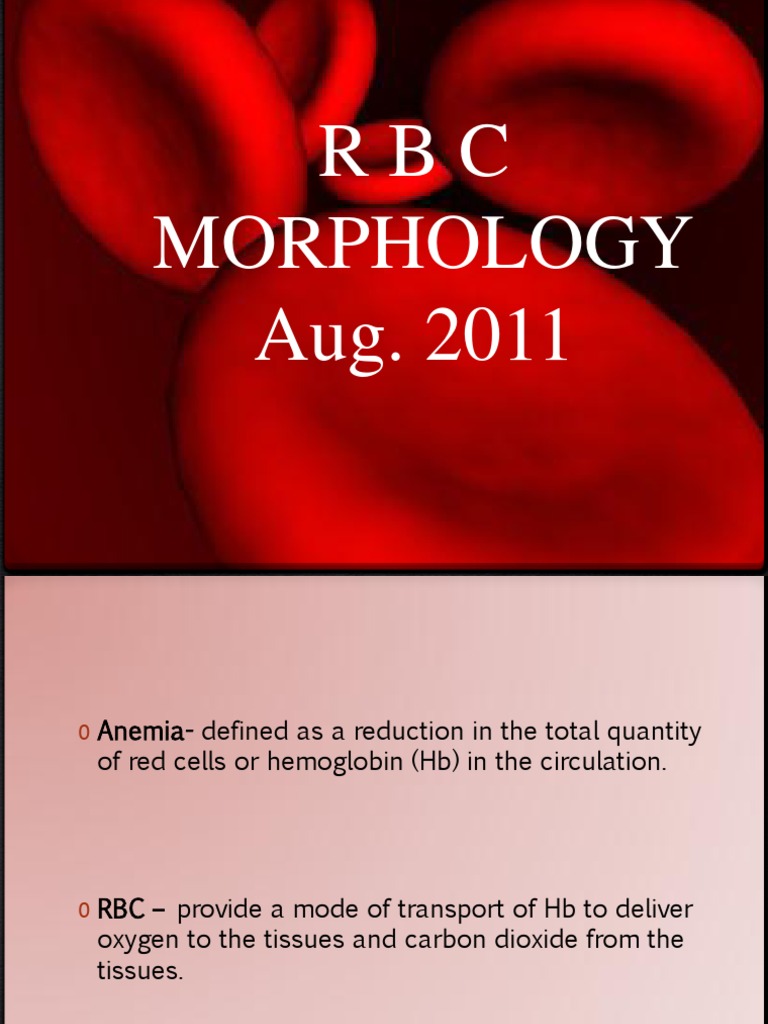 Patho (Lab PPT Trans) - 2-2 - RBC Morphology | PDF | Anemia | Red Blood ...