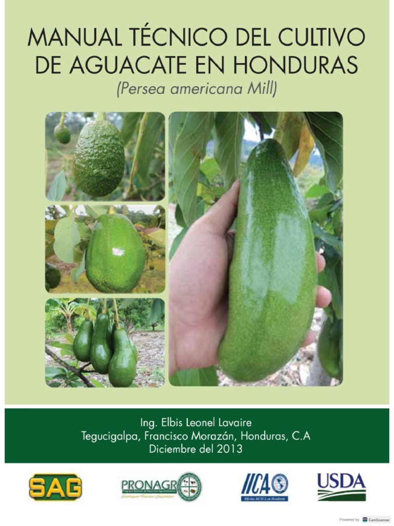 Manual Tecnico Del Cultivo de Aguacate | PDF