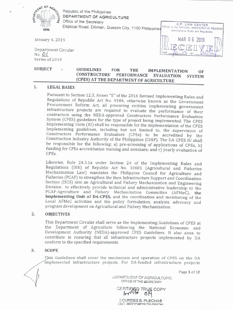 CPES Guidelines Final 3 | PDF