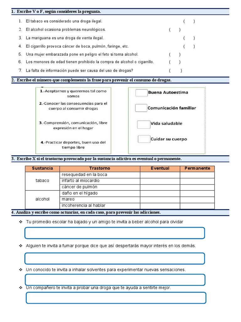 Ficha de Cyt 11 | PDF