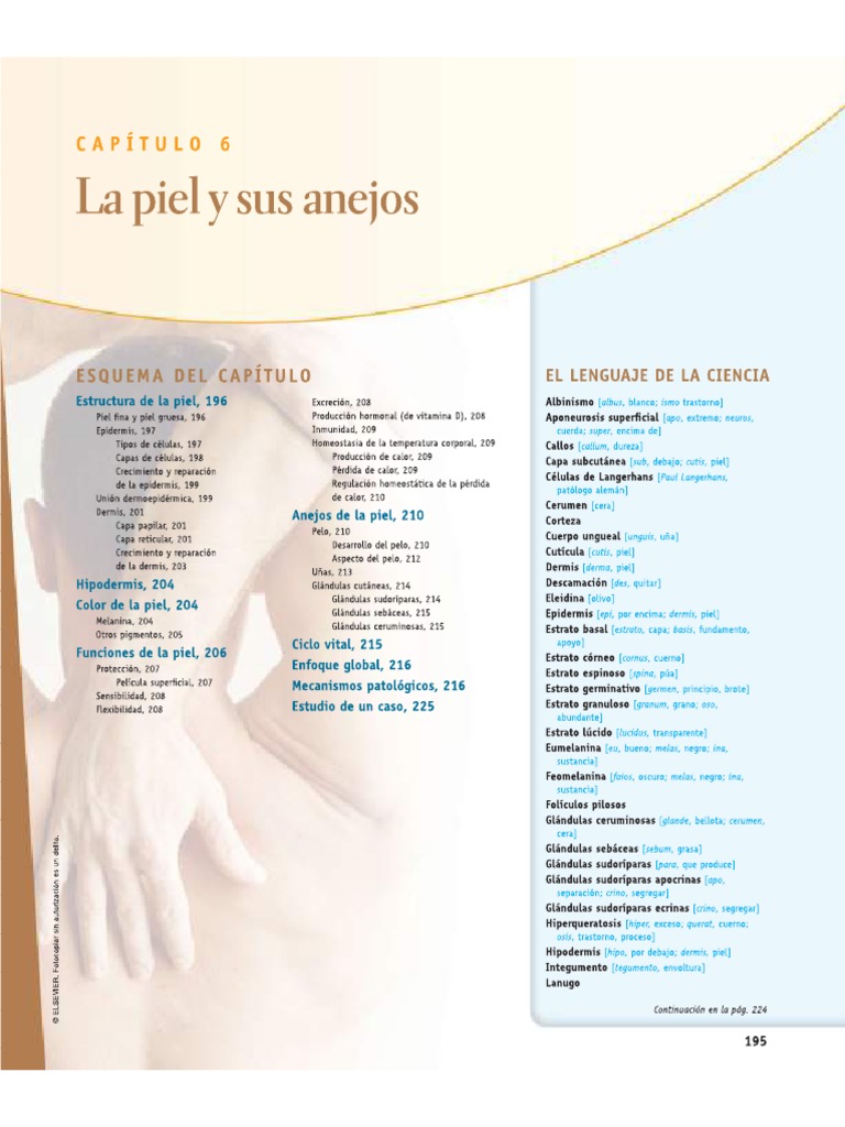 4 - (CAP 6) La Piel y Sus Anejos | PDF