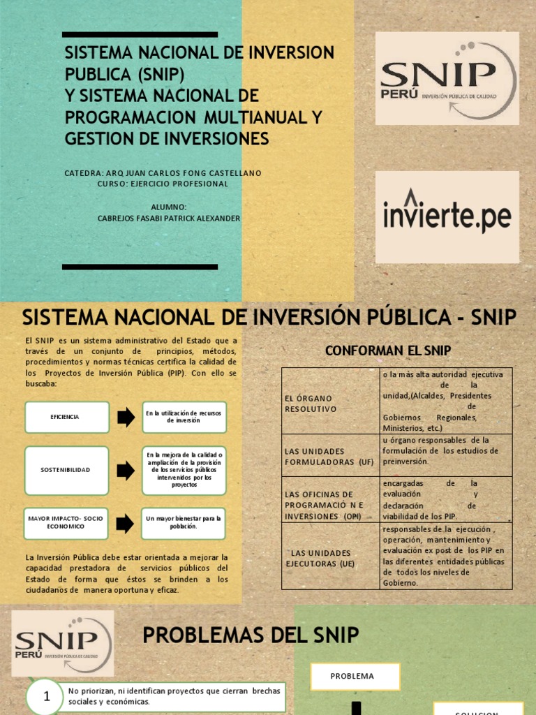SNIP e Invierte Peru - Perfiles SNIP, Ficha Tecnica | PDF