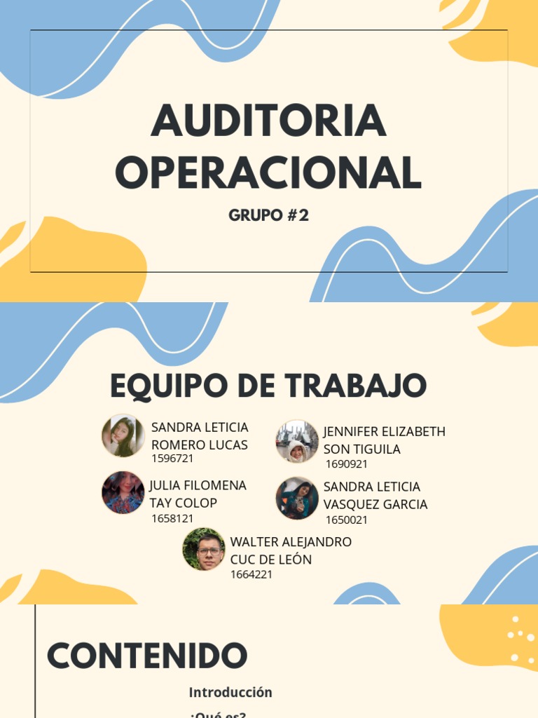 Presentación Auditoria Operacional | PDF