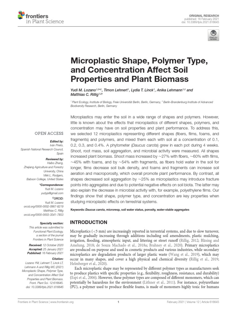 Microplastic Shape Polymer Type Pdf