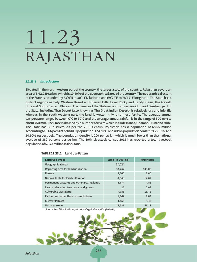 Isfr 2019 Vol II Rajasthan | PDF