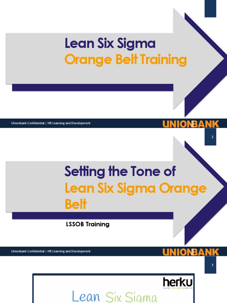 REVIEWER - LEAN SIX SIGMA ORANGE BELT COMPREHENSIVE ASSESSMENT | PDF