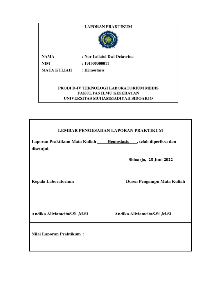 Laporan Praktikum Diffcount | PDF