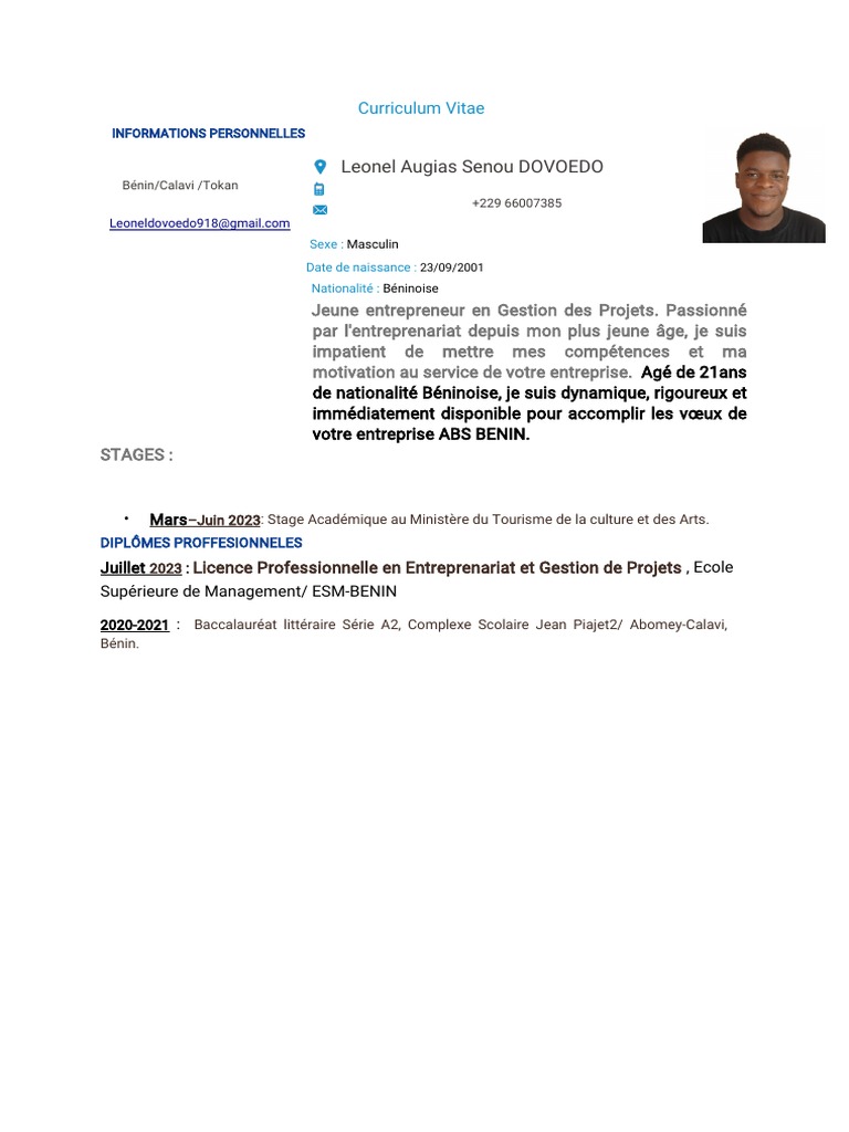 Curriculum Vitae Leonel | PDF