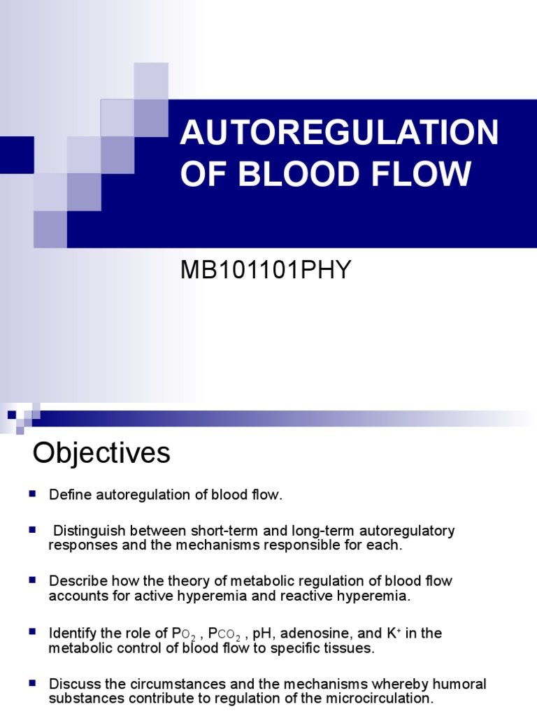 Autoregulation of Blood Flow | PDF